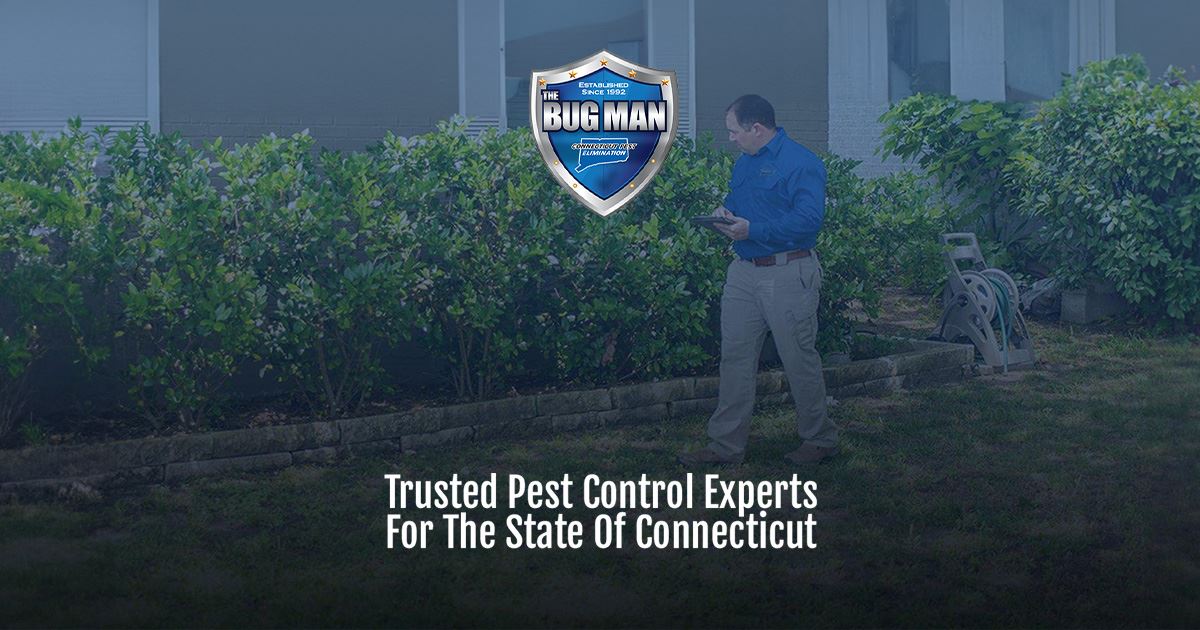 Residential & Commercial Pest Control in Connecticut | Connecticut Pest ...